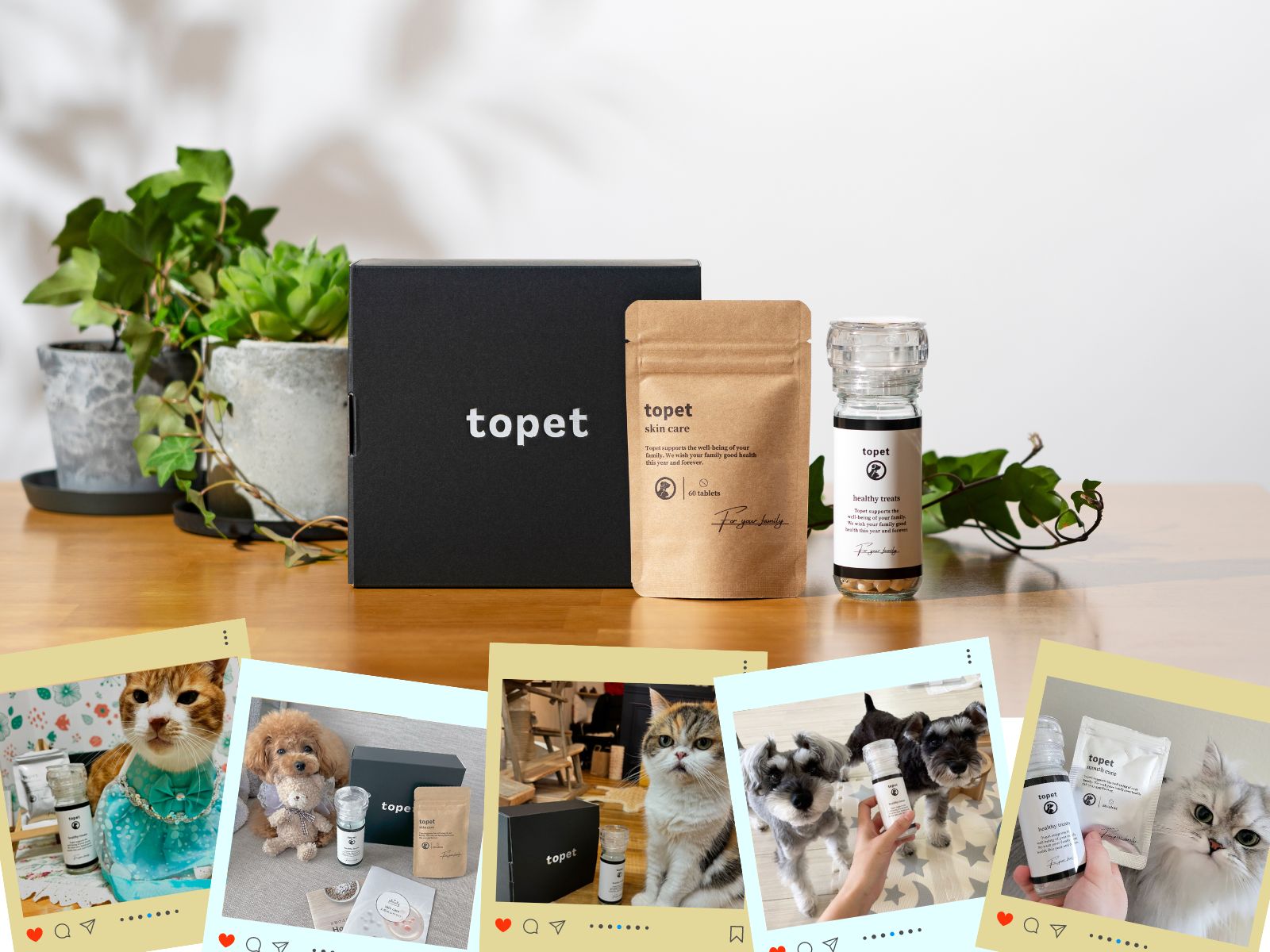 採用情報 | topet (トペット) について | 株式会社topet (トペット)